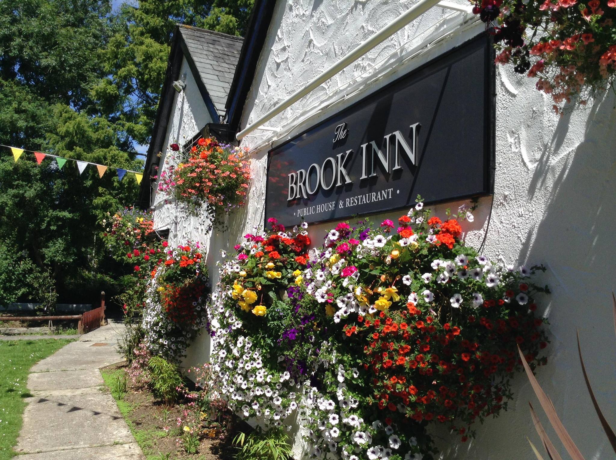 The Brook Inn South West Devon | Rover Dog-friendly Pub Awards